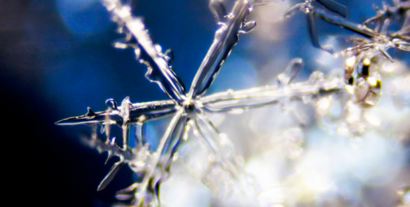 Orgone Devices • Radionics Evolution